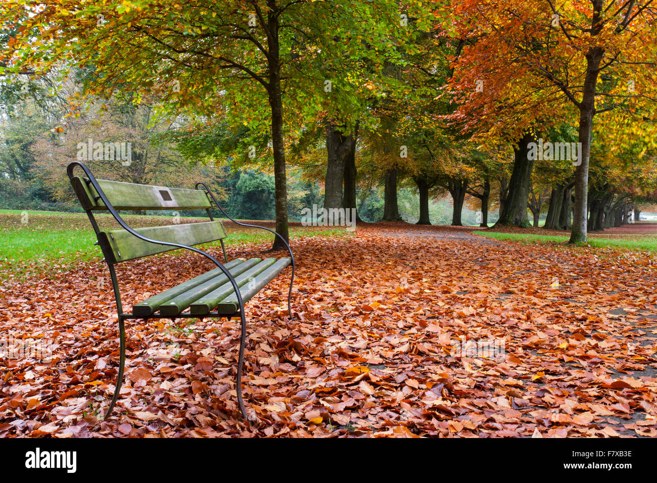 A view along The Promenade, Clifton, Bristol Stock Photo - Alamy
