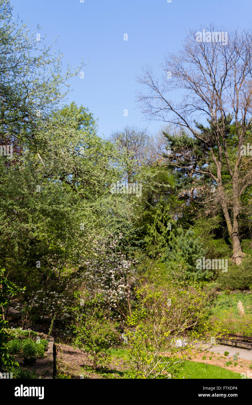 summer park, trees Stock Photo - Alamy