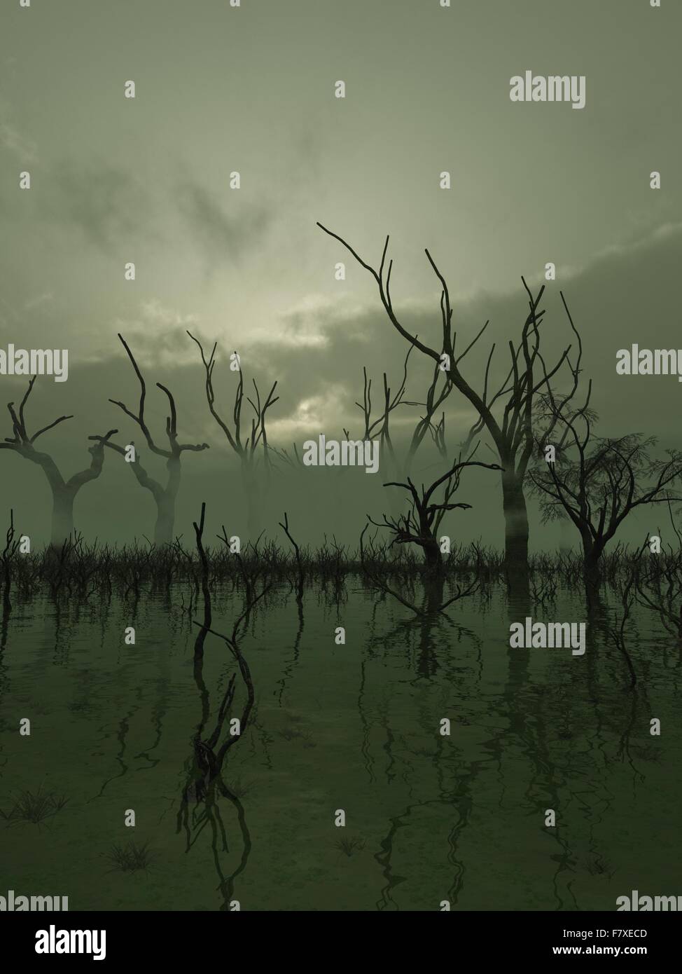 Spooky trees illustration hi-res stock photography and images - Alamy