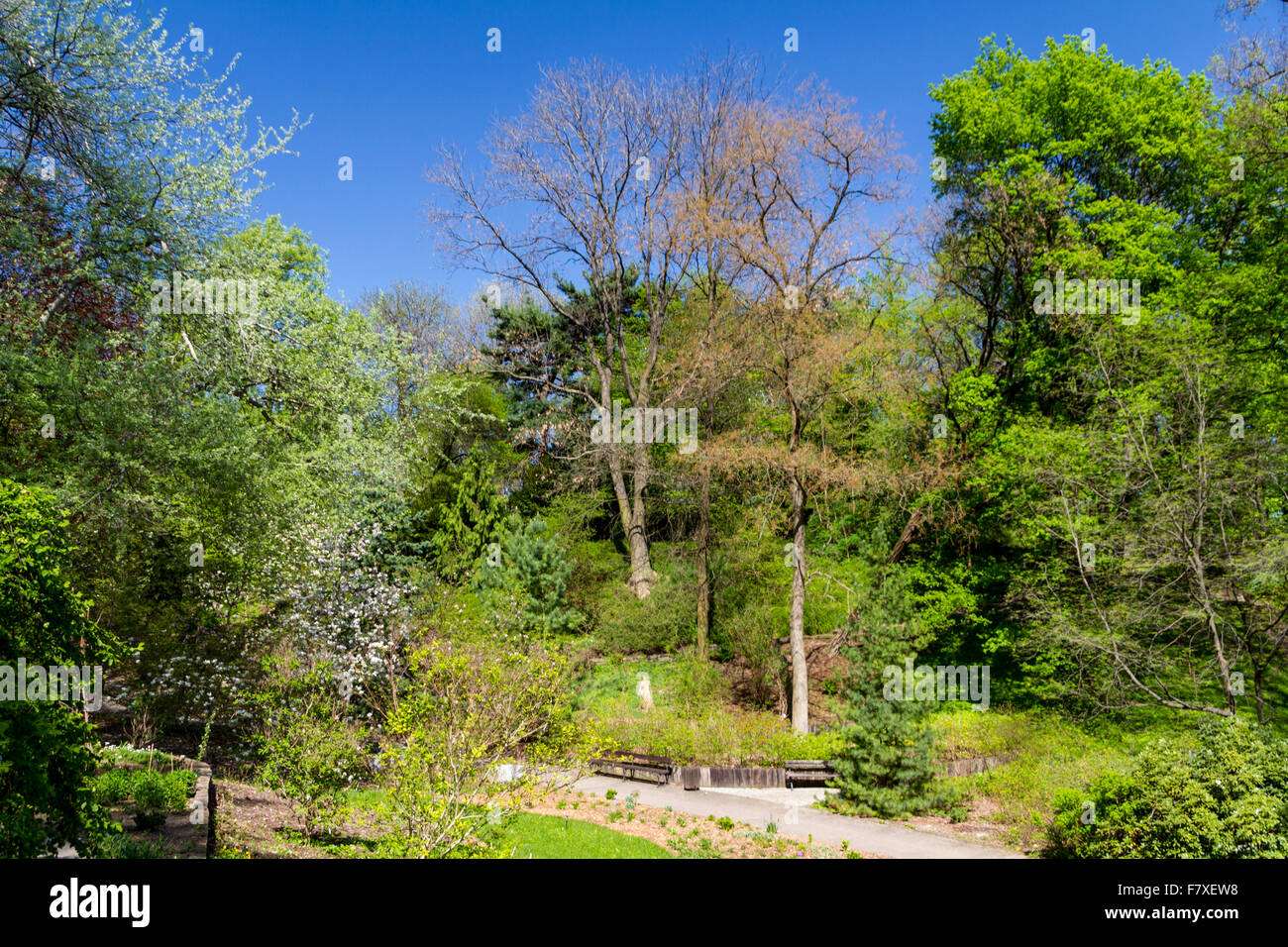 summer park, trees Stock Photo - Alamy