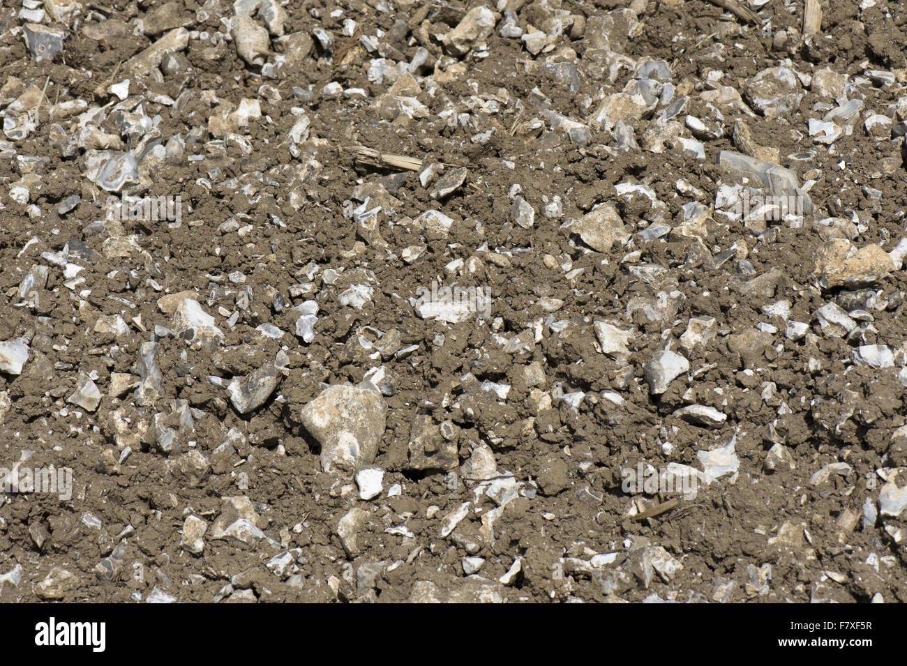 Chalk soil hi-res stock photography and images - Alamy
