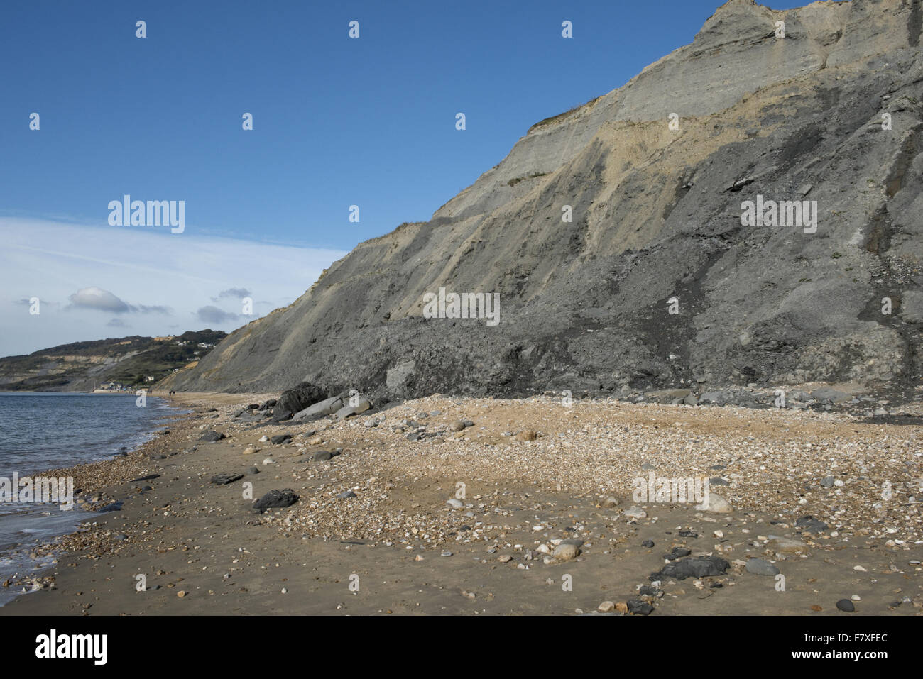 Jurassic Coast cliff with recent rock falls of fossil bearing blue lias ...