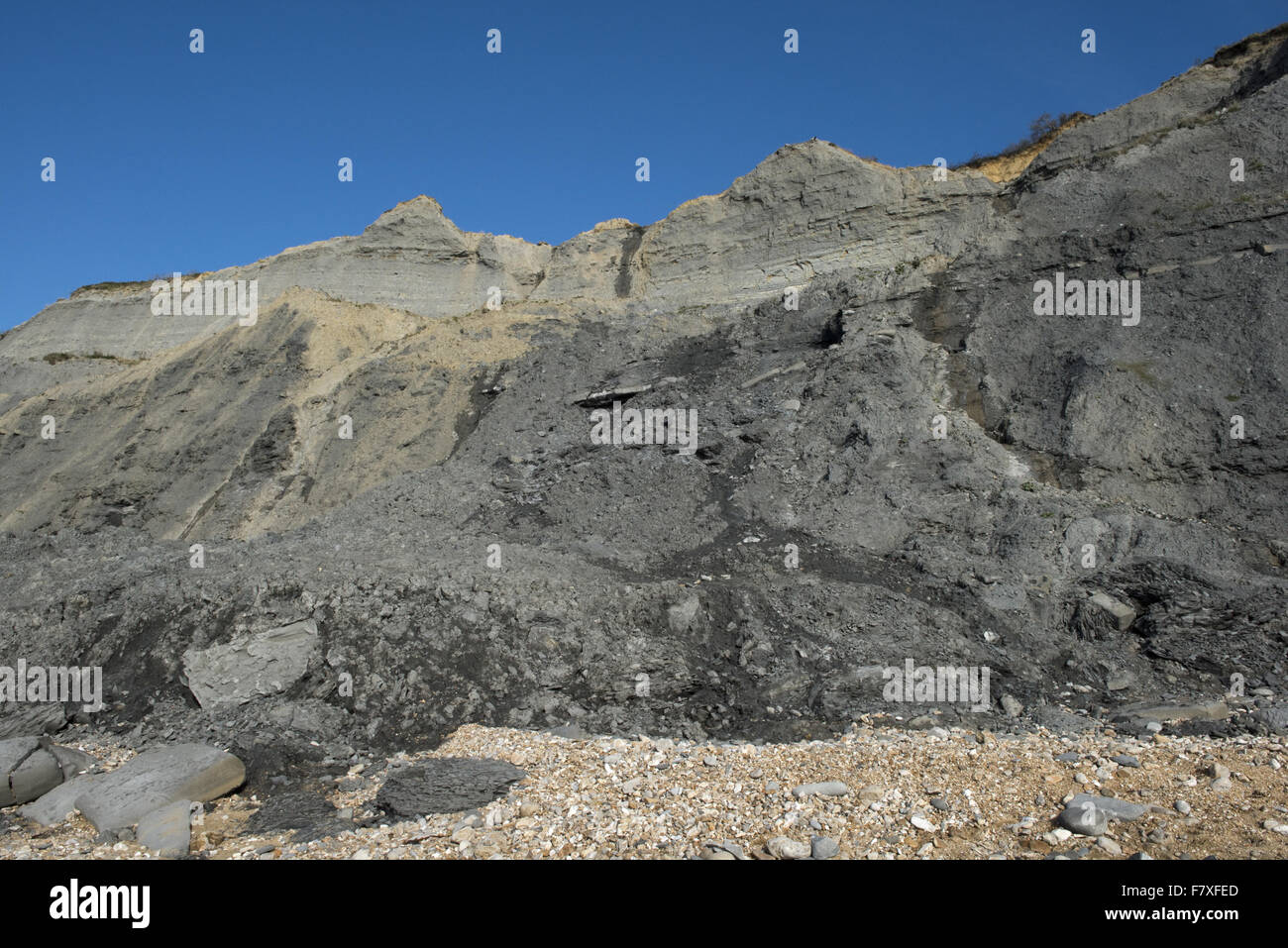 Jurassic Coast cliff with recent rock falls of fossil bearing blue lias ...