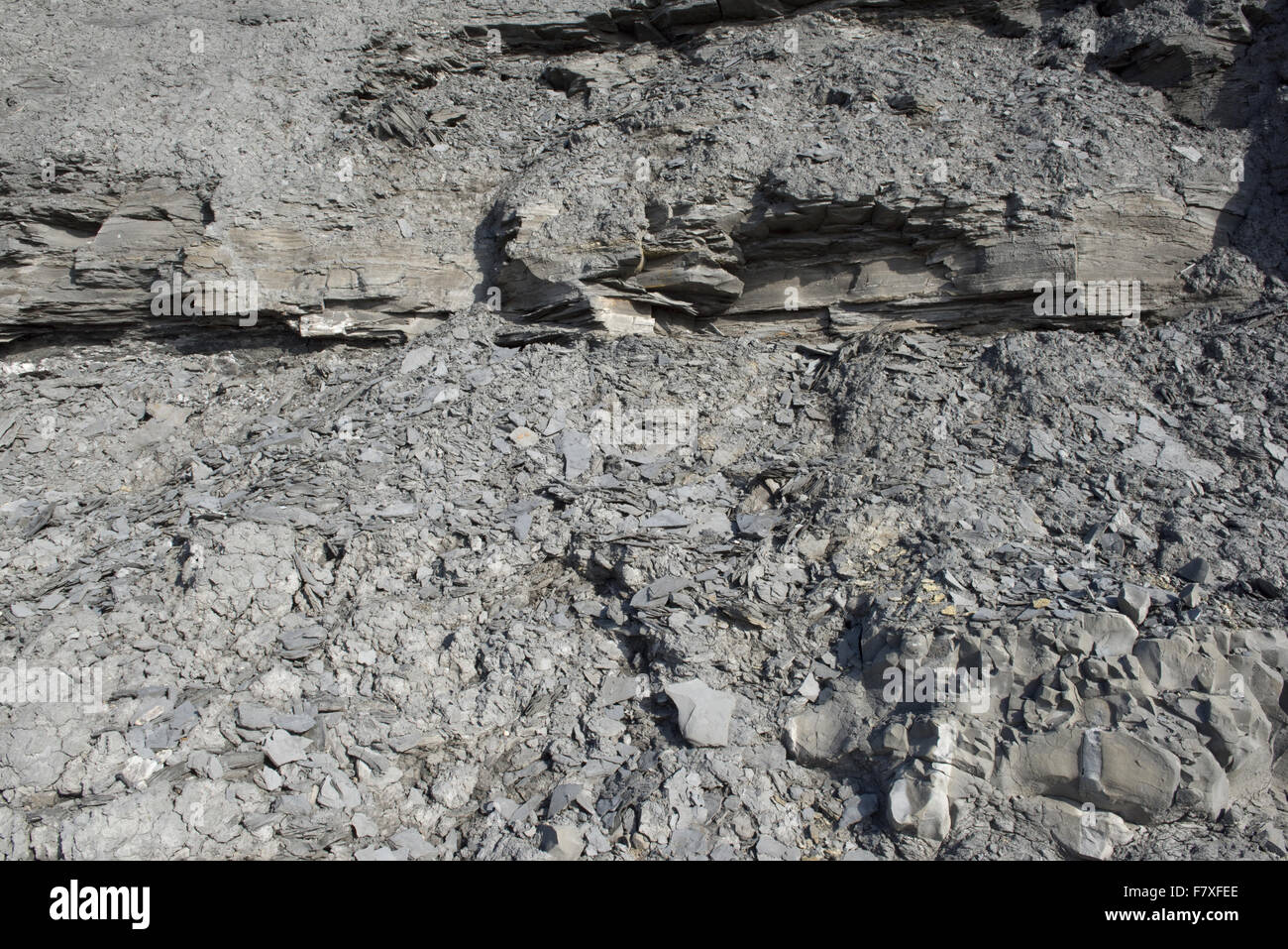 Jurassic Coast cliffs with blue lias and shale strata in fossil bearing ...