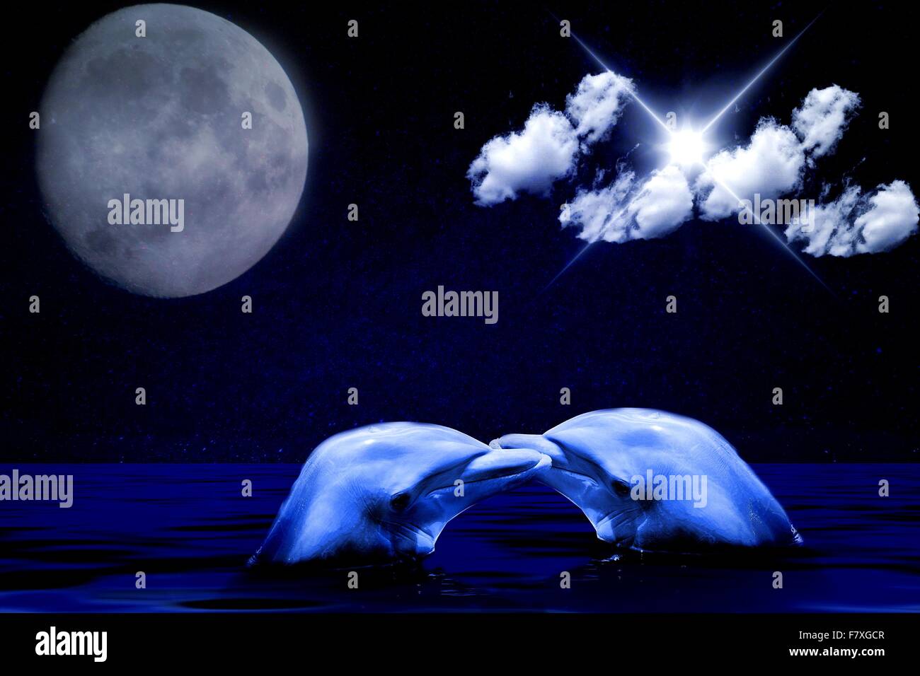 Celestial Navigator High Resolution Stock Photography and Images - Alamy