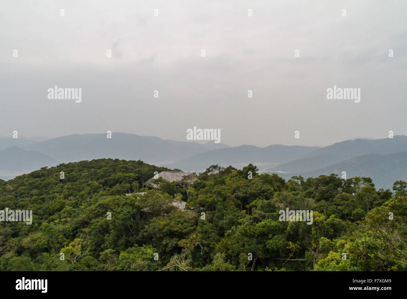 Chinese jungle, island of Hainan Stock Photo - Alamy