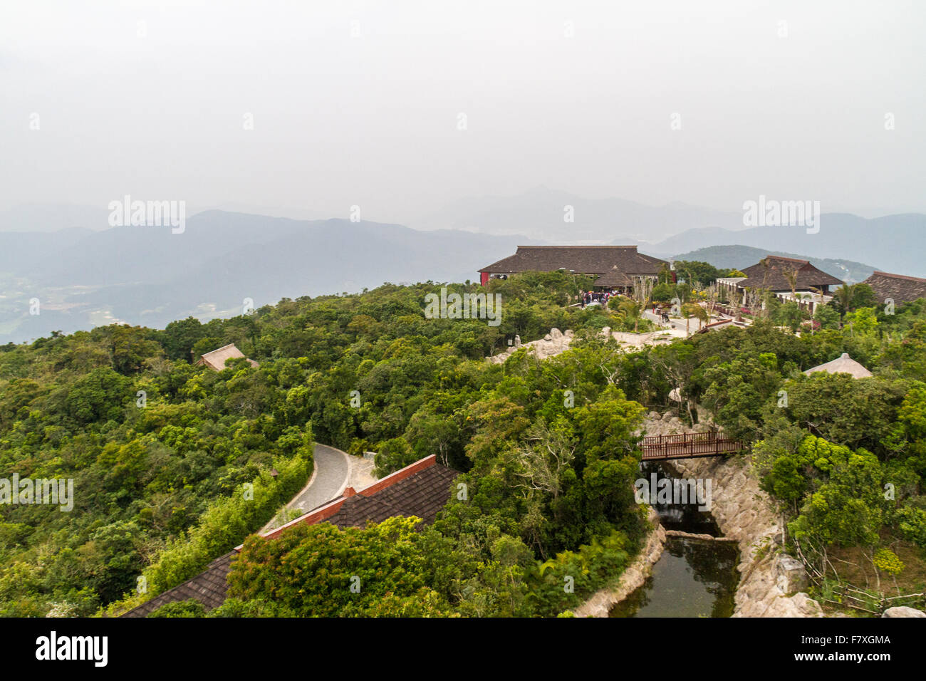 Chinese jungle, island of Hainan Stock Photo - Alamy