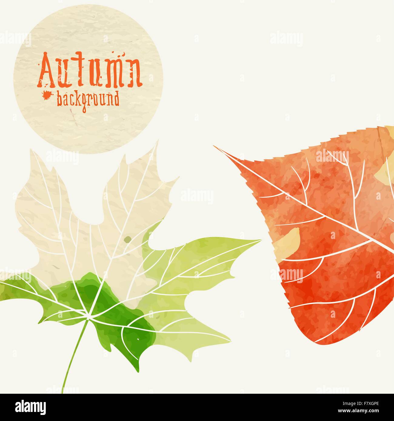 Simple Autumn Background Stock Vector Image & Art - Alamy