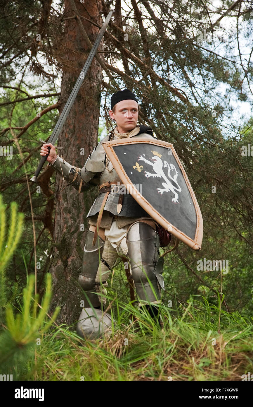 Knight in armor, ready for confrontation at forest in sunny day Stock ...