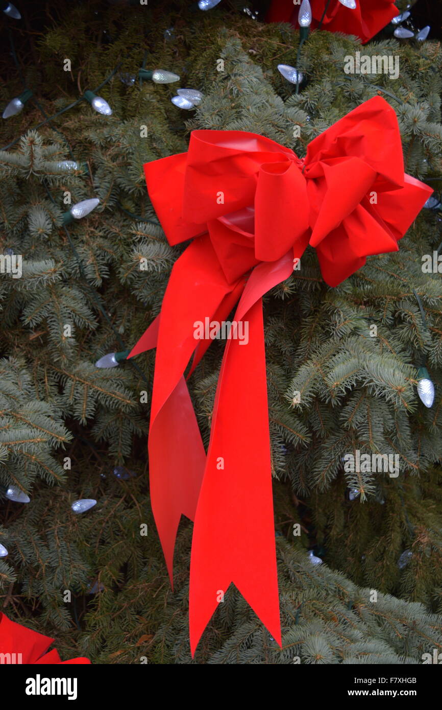 Big red big tree hi-res stock photography and images - Alamy