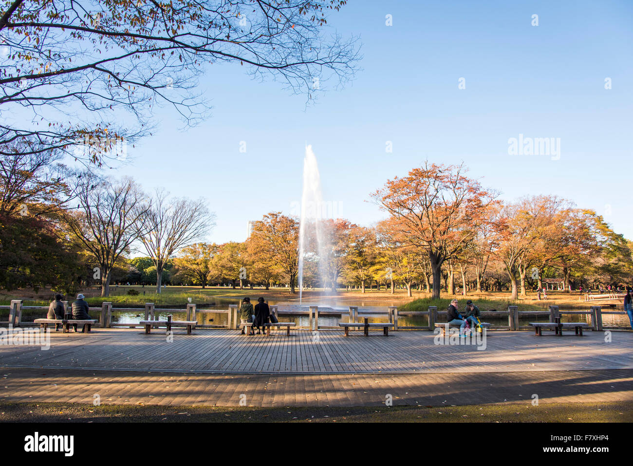 Yoyogi park tokyo crowd hi-res stock photography and images - Alamy