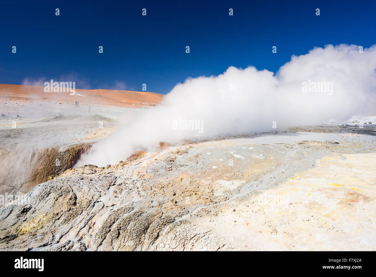 Steaming geyser in geothermal region of the Andean Highlands of Bolivia ...