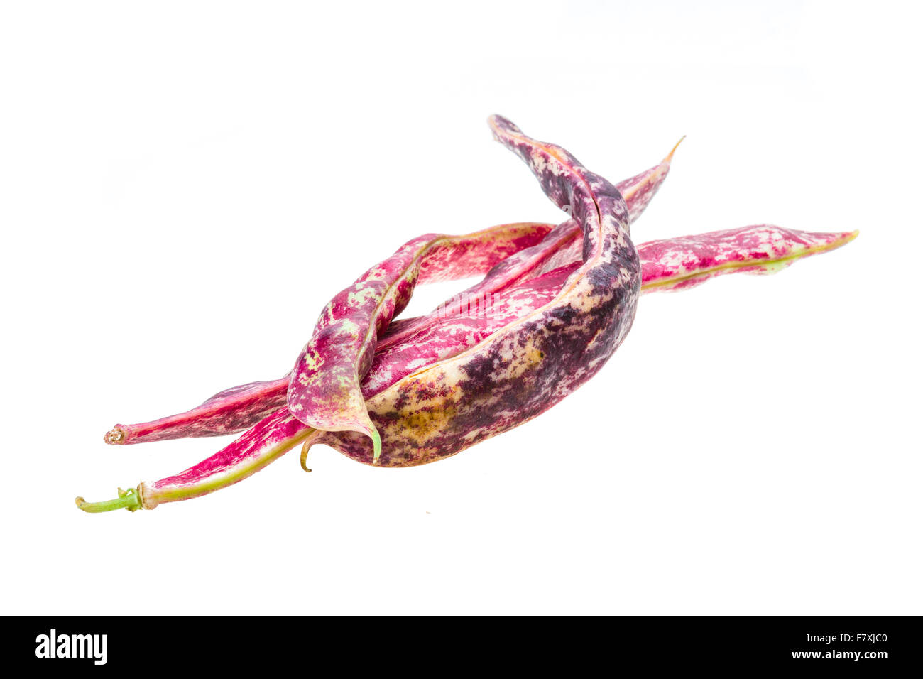 Red bean pod Stock Photo - Alamy