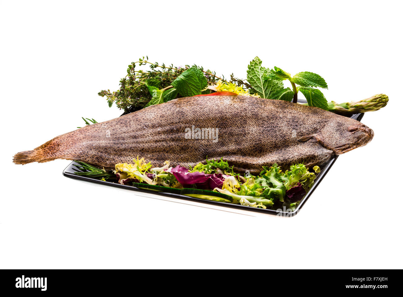 Fish Dover sole Stock Photo - Alamy