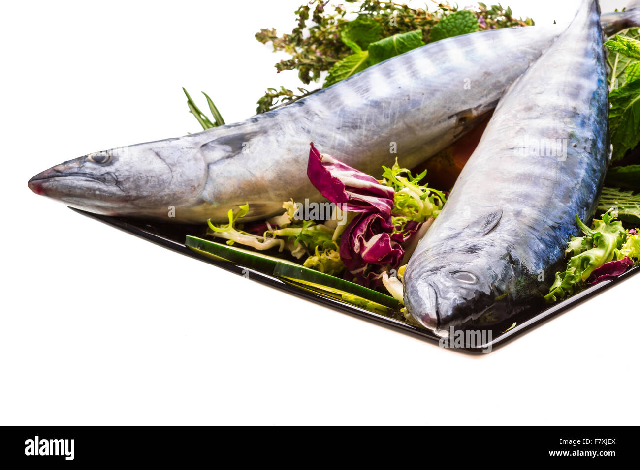 Atlanticmackerel hi-res stock photography and images - Alamy