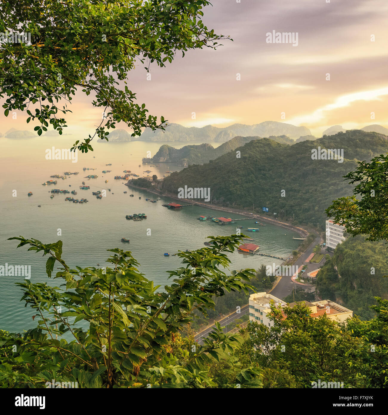 Cat ba island village hi-res stock photography and images - Alamy