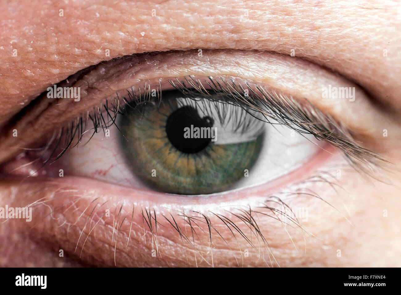 Male eye hi-res stock photography and images - Alamy