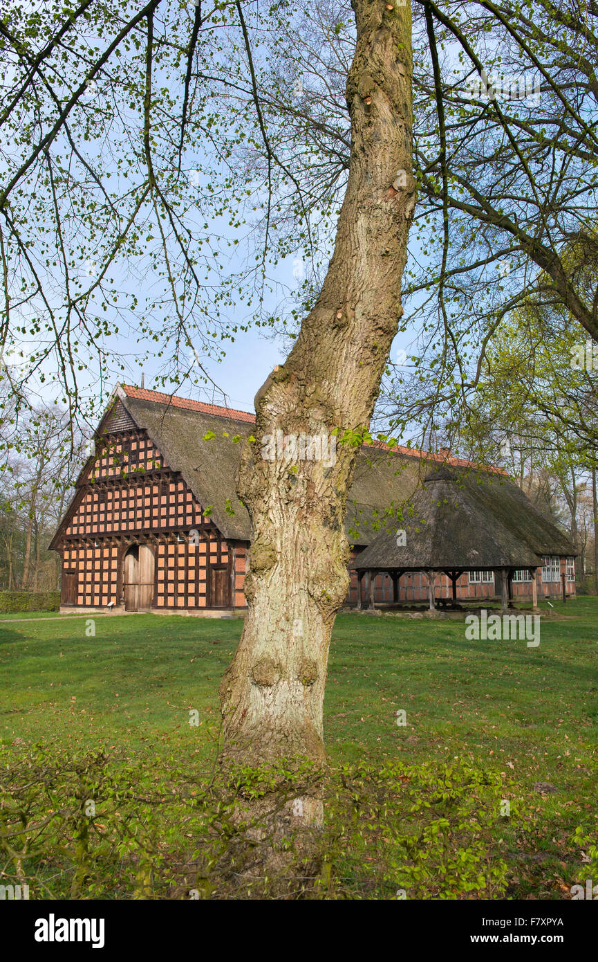 quatmannshof, old farm houses in cloppenburg museum village ...