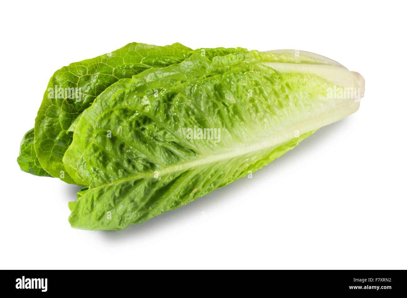 Lettuce cut out hi-res stock photography and images - Alamy