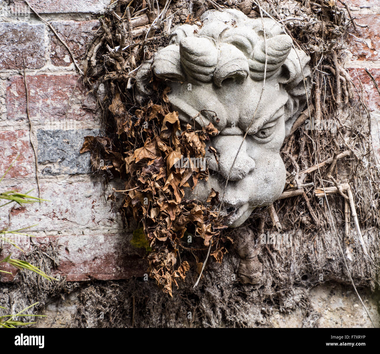 Why the grumpy face Stock Photo - Alamy