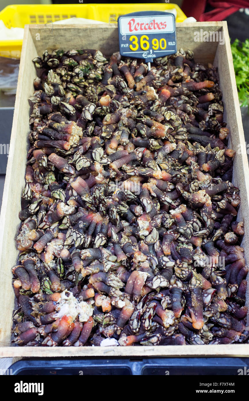 Percebes or Goose Barnacles - a delicacy in Spain especially Galicia ...