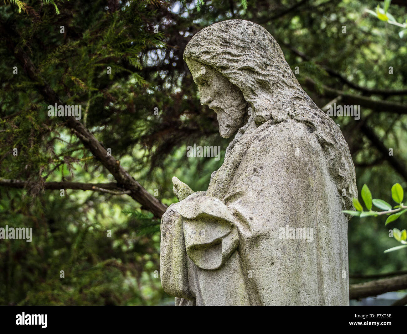 THINKING MAN, concrete statue in a garden Stock Photo - Alamy