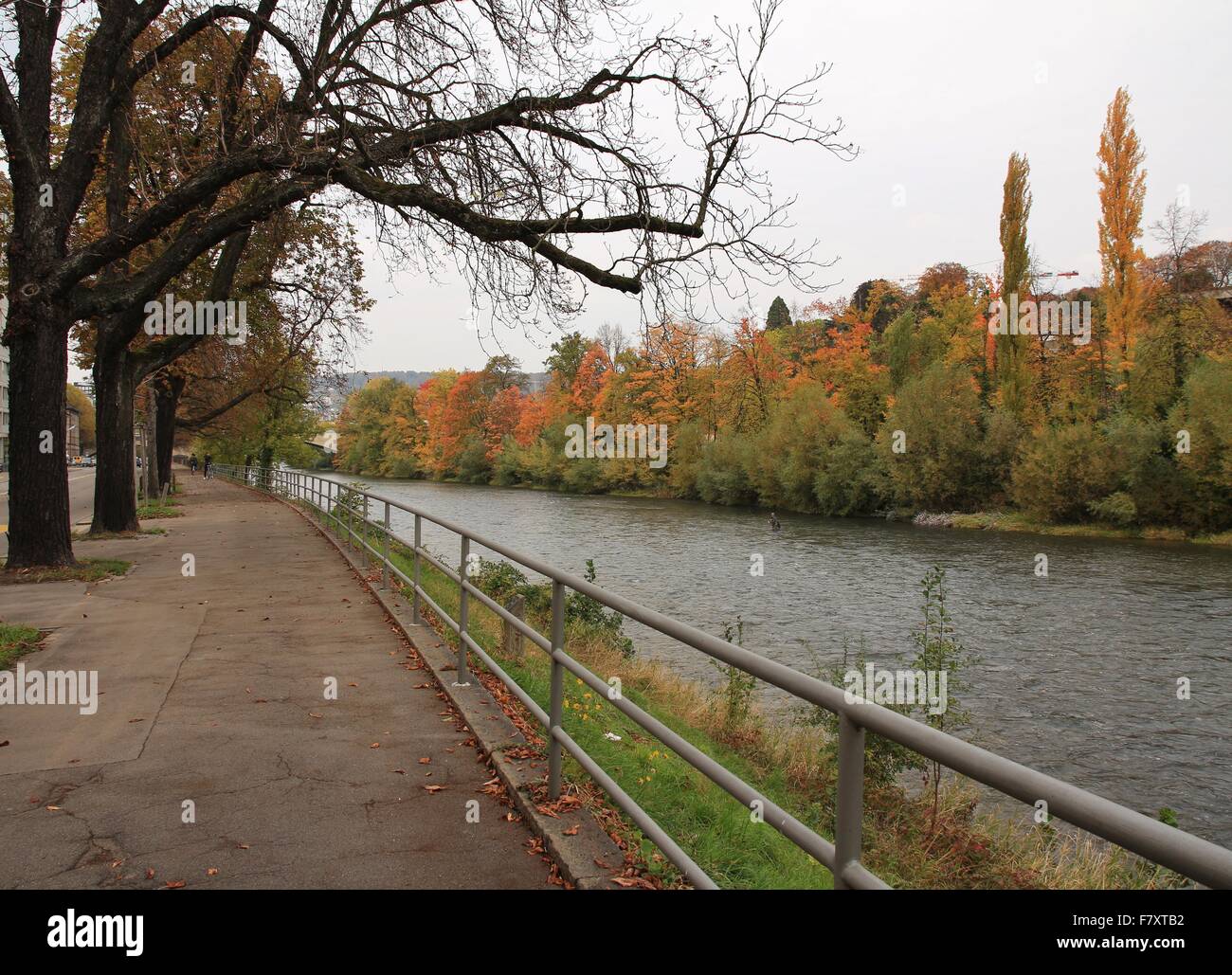 Limmat trees hi-res stock photography and images - Alamy