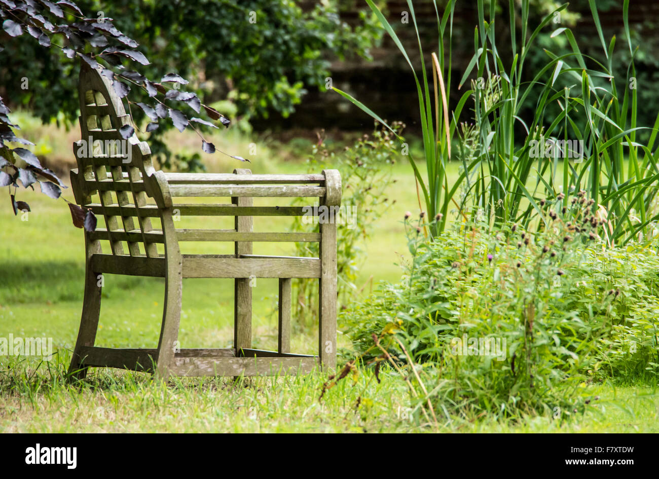 Bench nature hi-res stock photography and images - Alamy