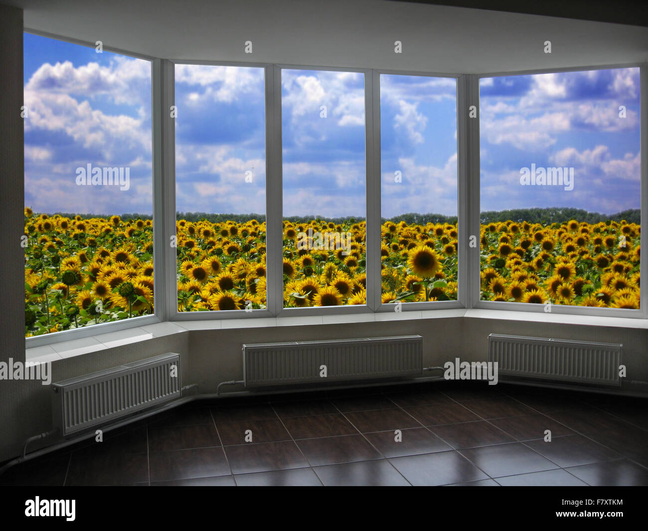 Metal windows hi-res stock photography and images - Alamy