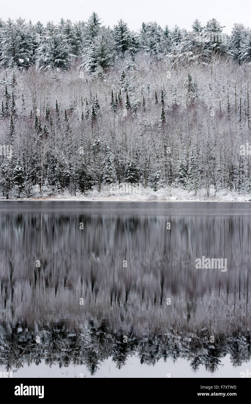 Still waters reflect winter forests at its edge. Light snow overcast ...