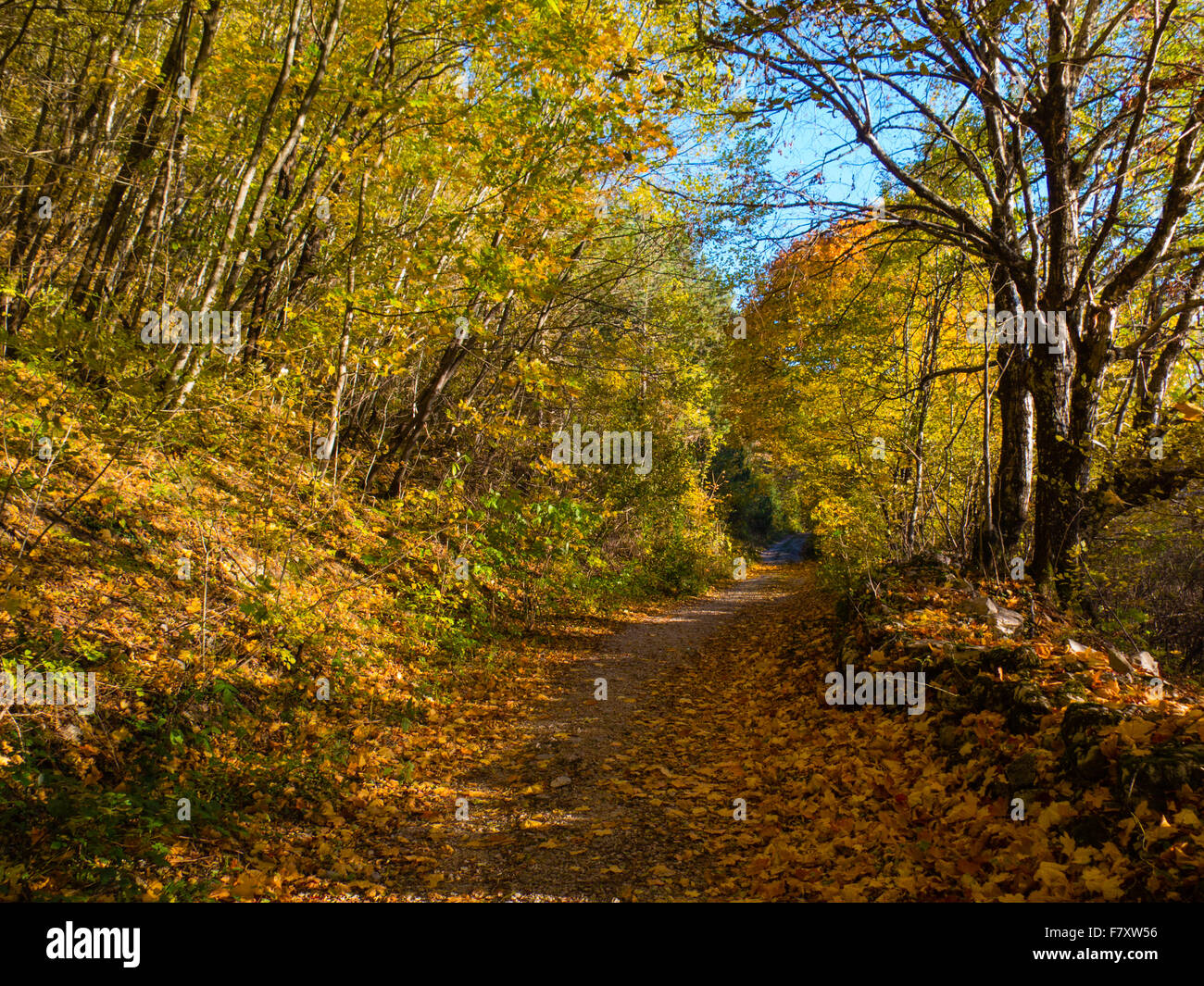 Pebble stone road hi-res stock photography and images - Alamy