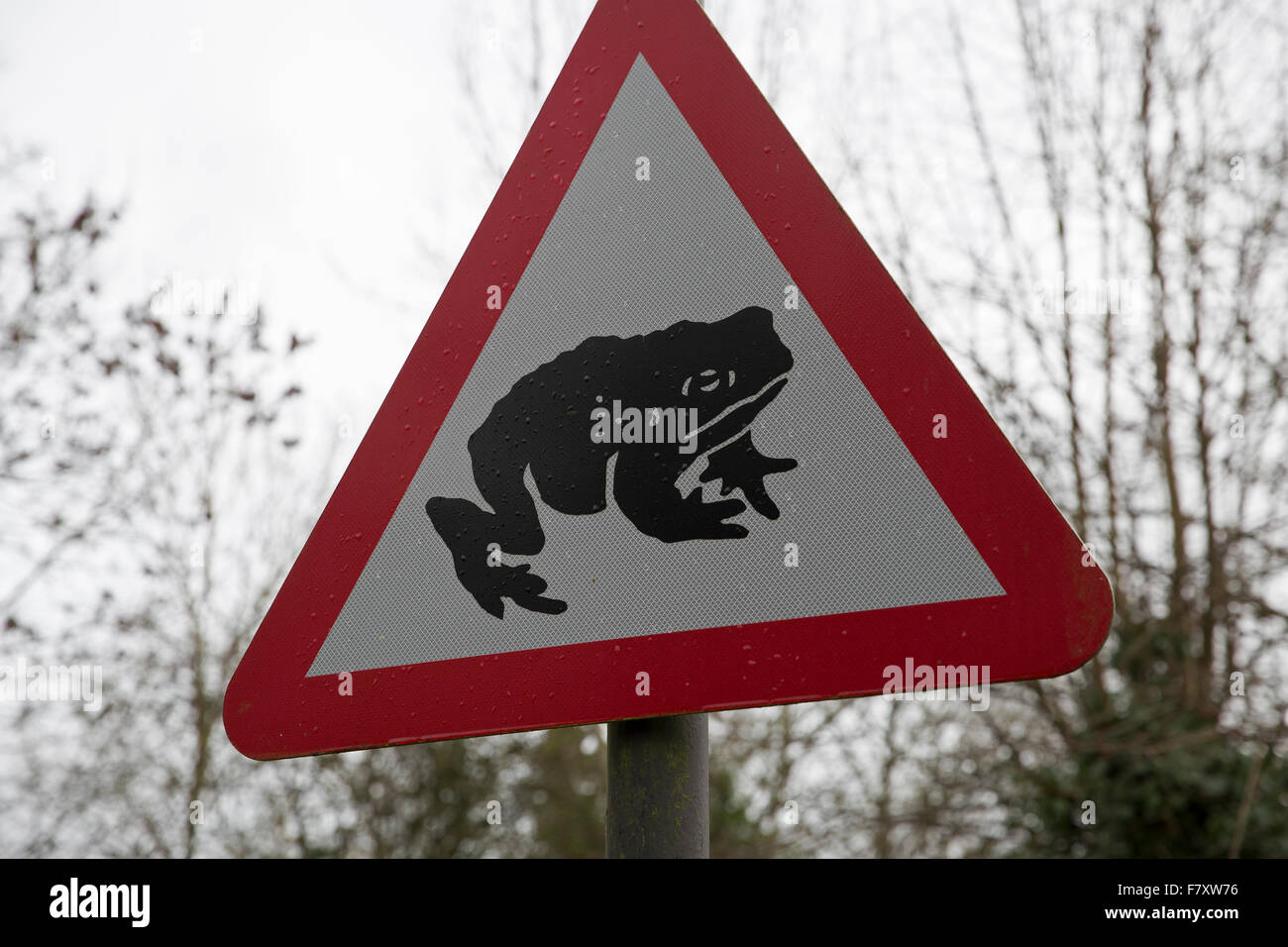 Triangle highway code signpost hi-res stock photography and images - Alamy