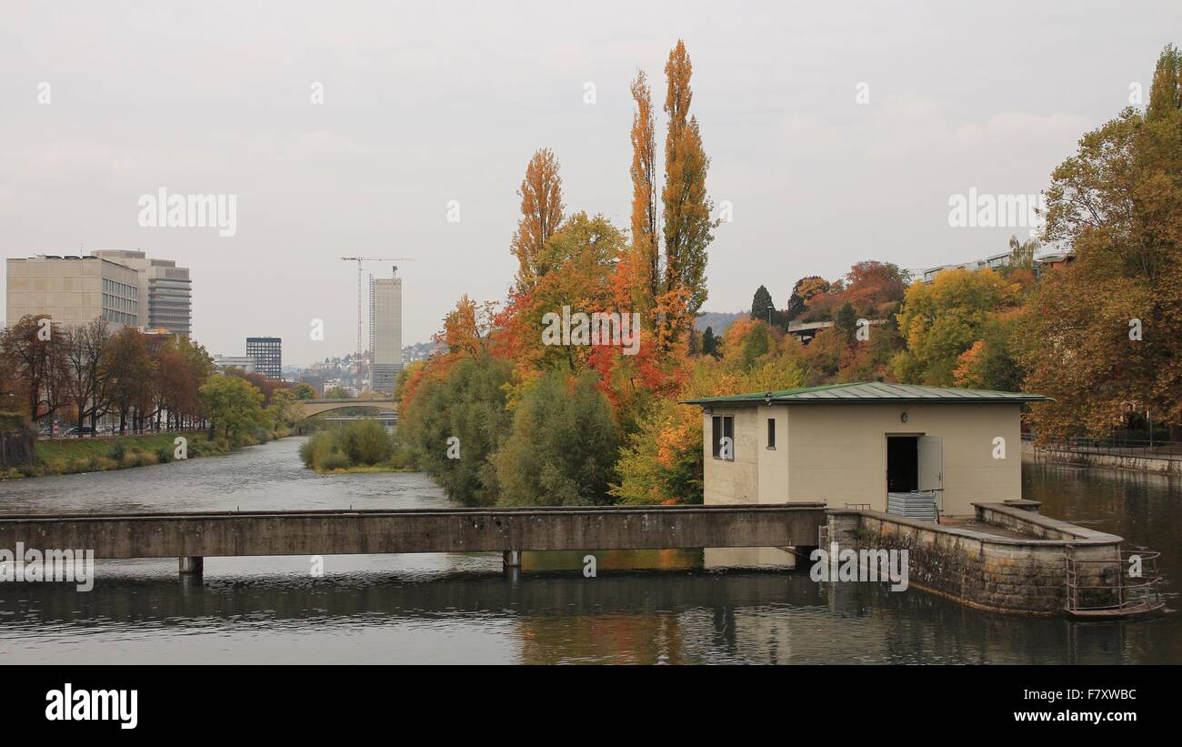 Colors of autumn in Zurich Stock Photo - Alamy