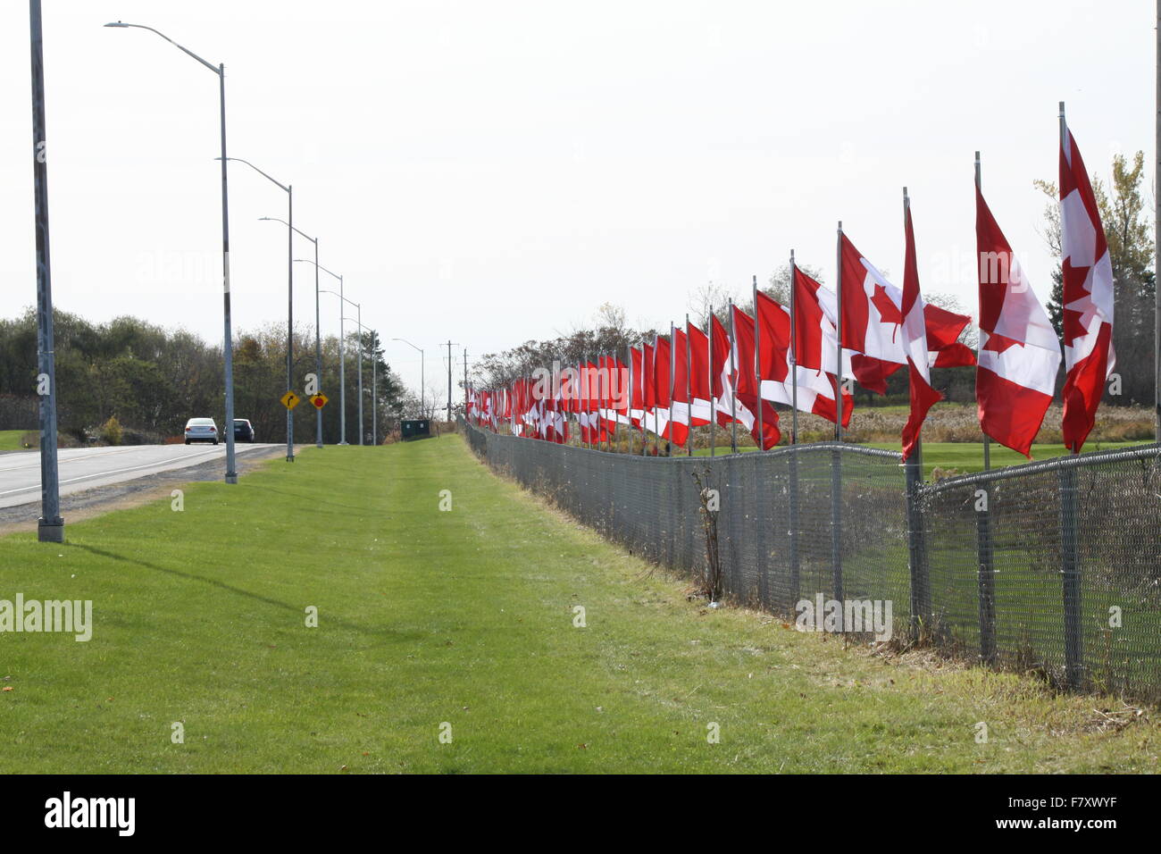 Row of Canadian flags, attached to fence posts, gently waving in a ...