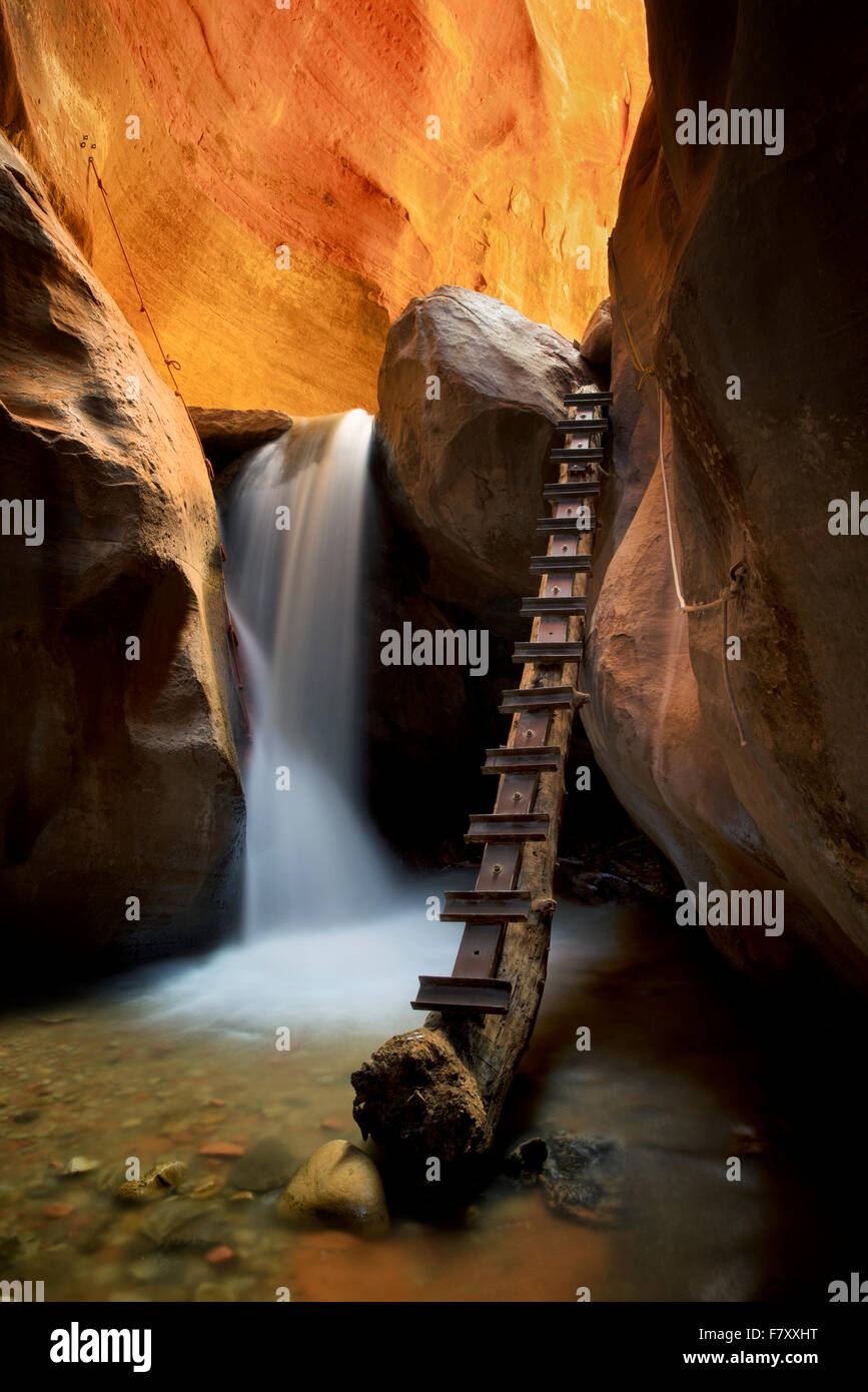 Ladder hi-res stock photography and images - Alamy