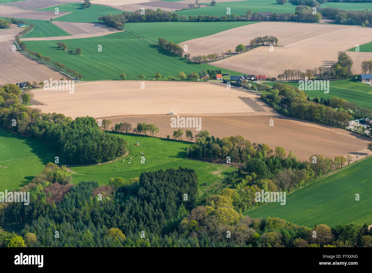 field landscape near damme (dümmer) from above, vechta district ...