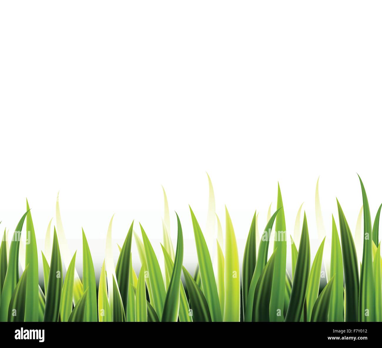 Green grass vector design Stock Vector Image & Art - Alamy