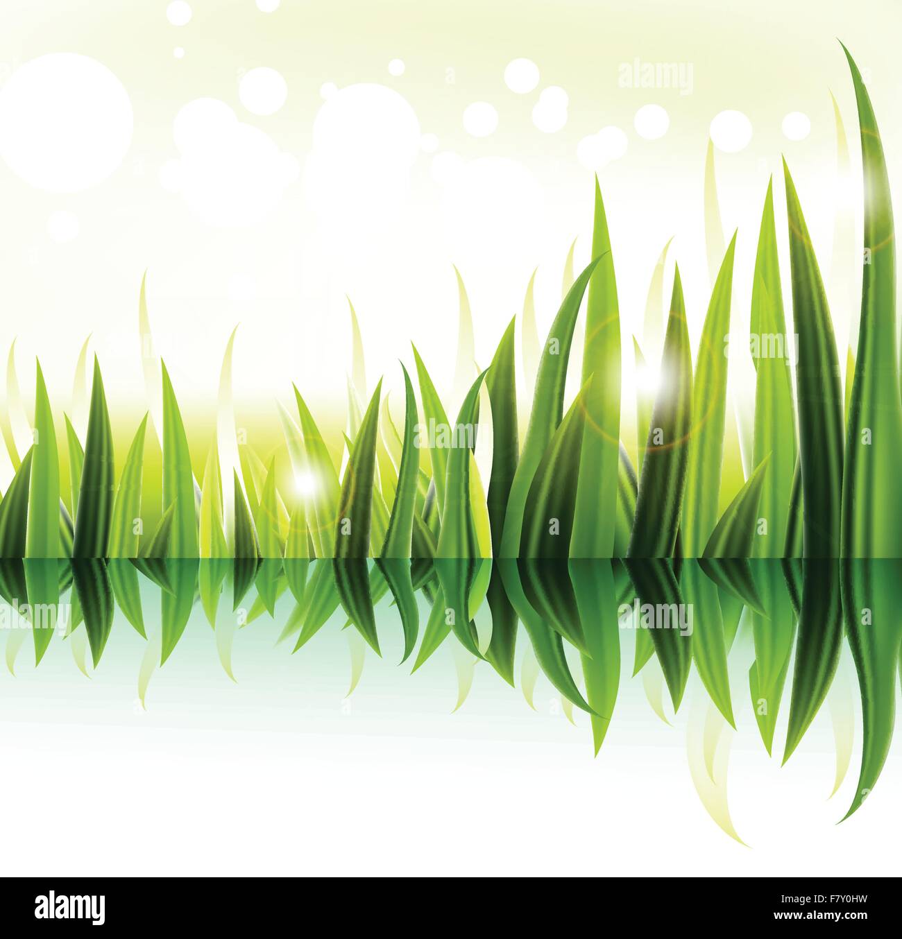 Green grass vector design Stock Vector Image & Art - Alamy