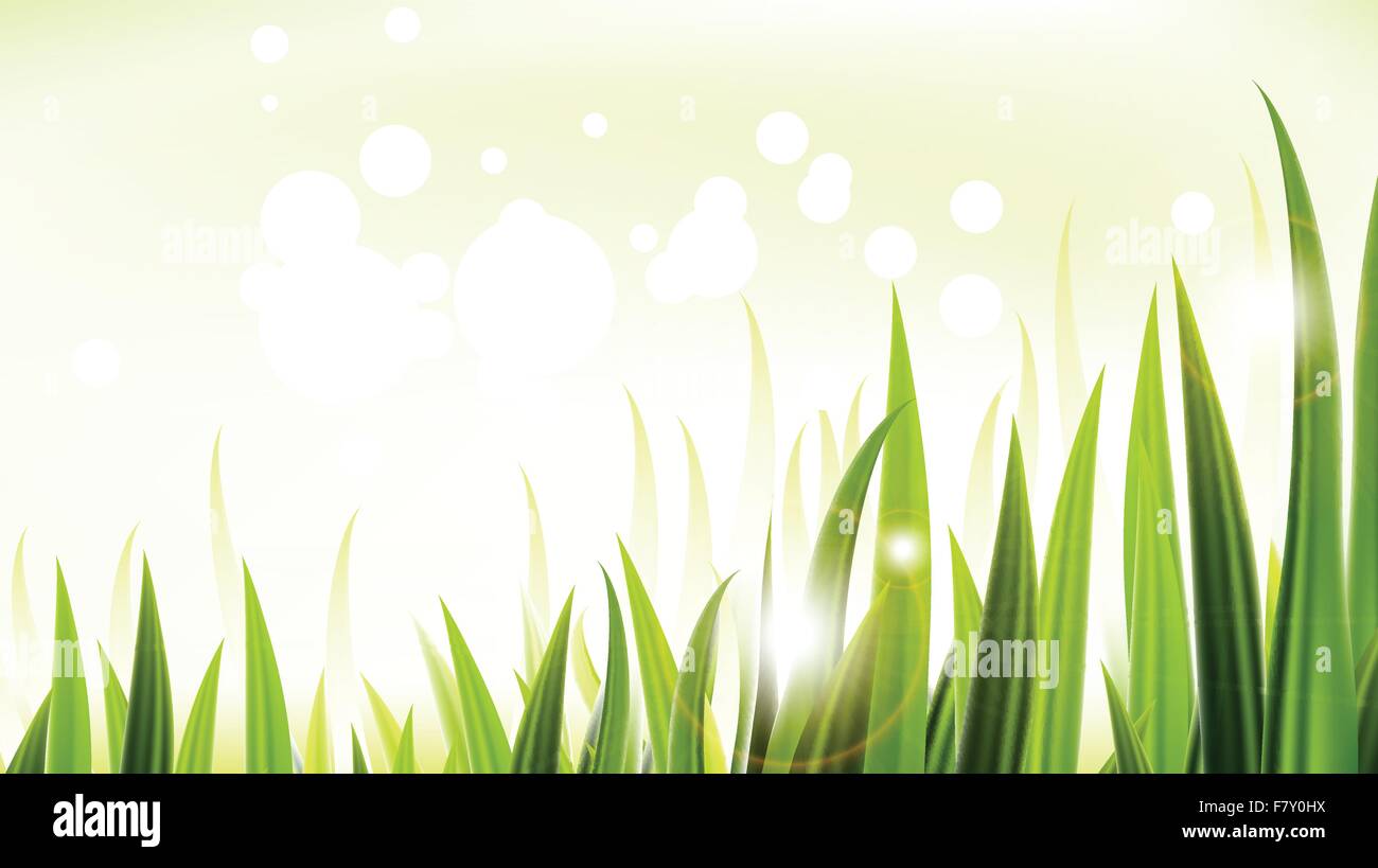 Green grass vector design Stock Vector Image & Art - Alamy