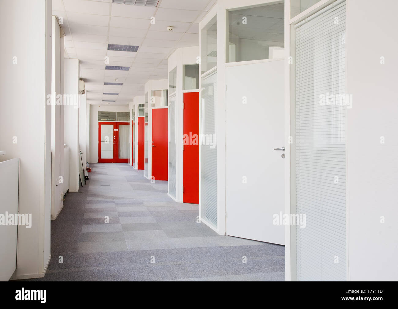 office corridor with doors in business center Stock Photo - Alamy