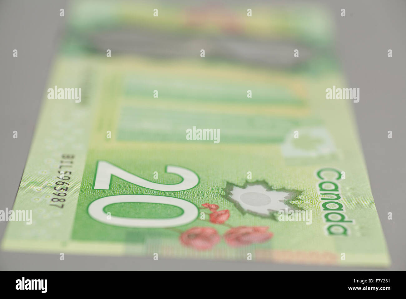 20 canadian dollar note hi-res stock photography and images - Alamy