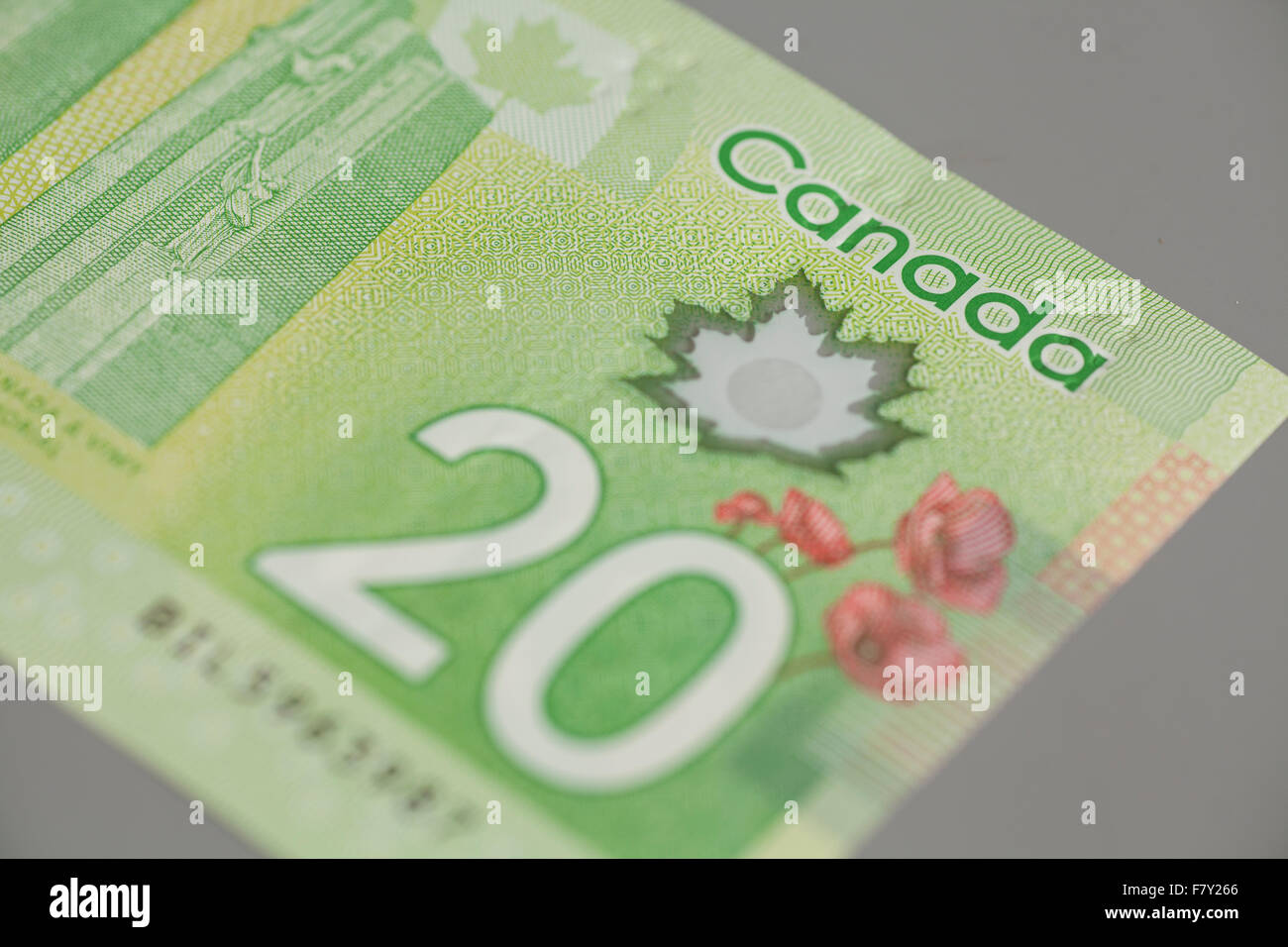 20 canadian dollar bill hi-res stock photography and images - Alamy
