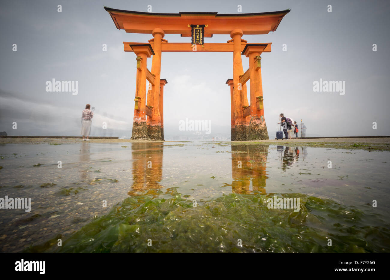 Long exposure in Miyajima, Floating Torii gate, low tide, Japan Stock ...
