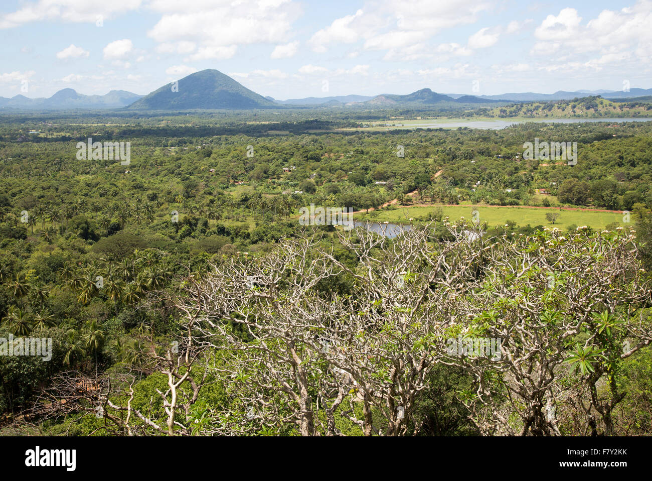 Plain landscape hi-res stock photography and images - Alamy