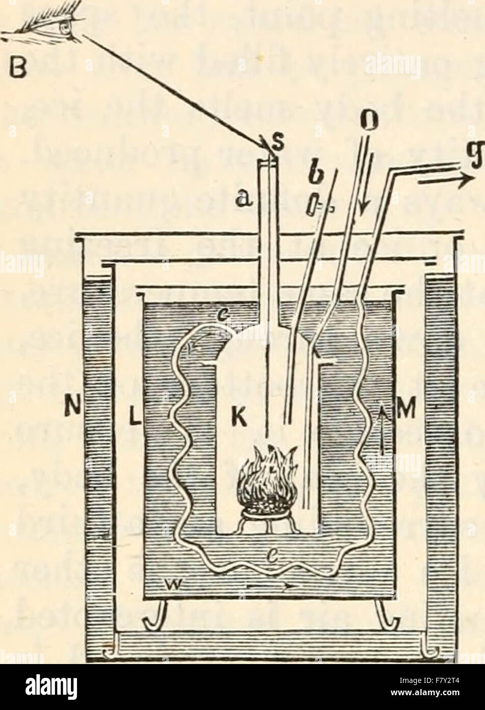 The elements of physiological physics: an outline of the elementary ...