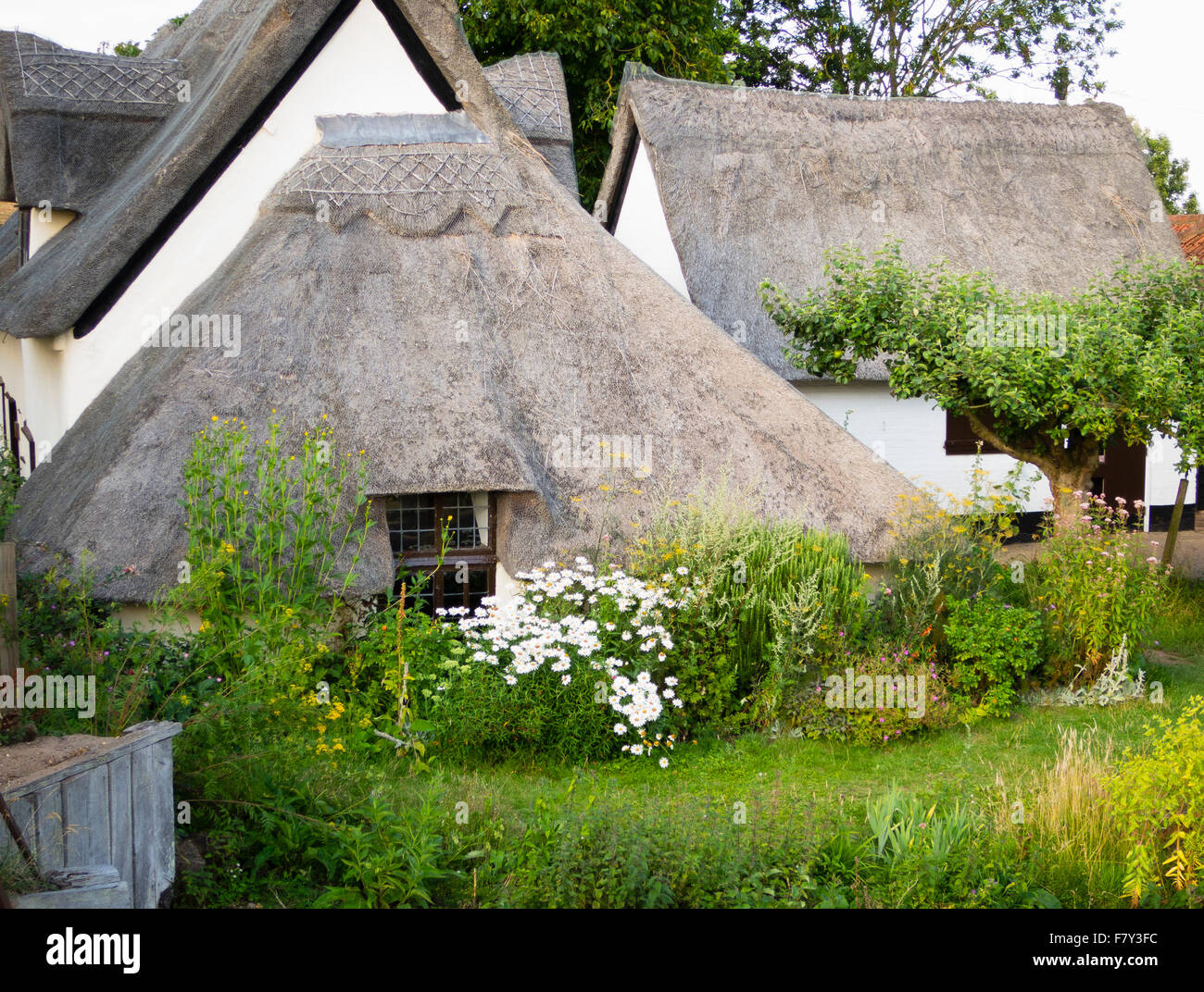 cottages with thatched roofs Stock Photo - Alamy