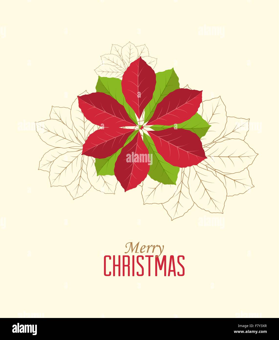 Traditional poinsettia flower Stock Vector Images - Alamy