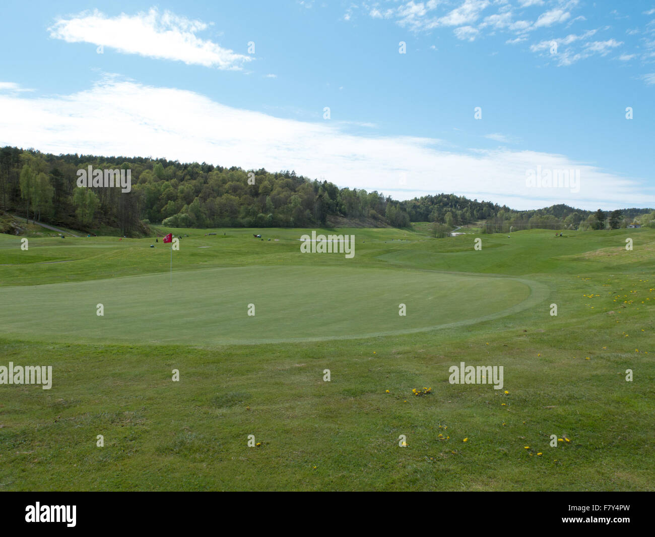 Golf course tree hi-res stock photography and images - Alamy