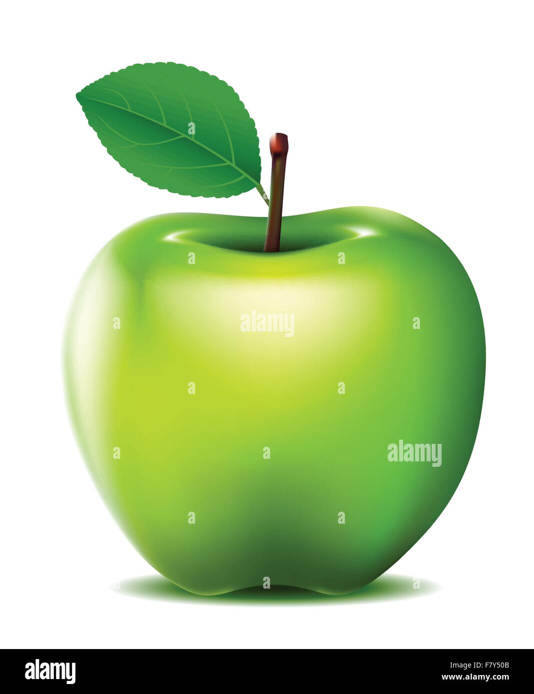 Granny Smith Vector