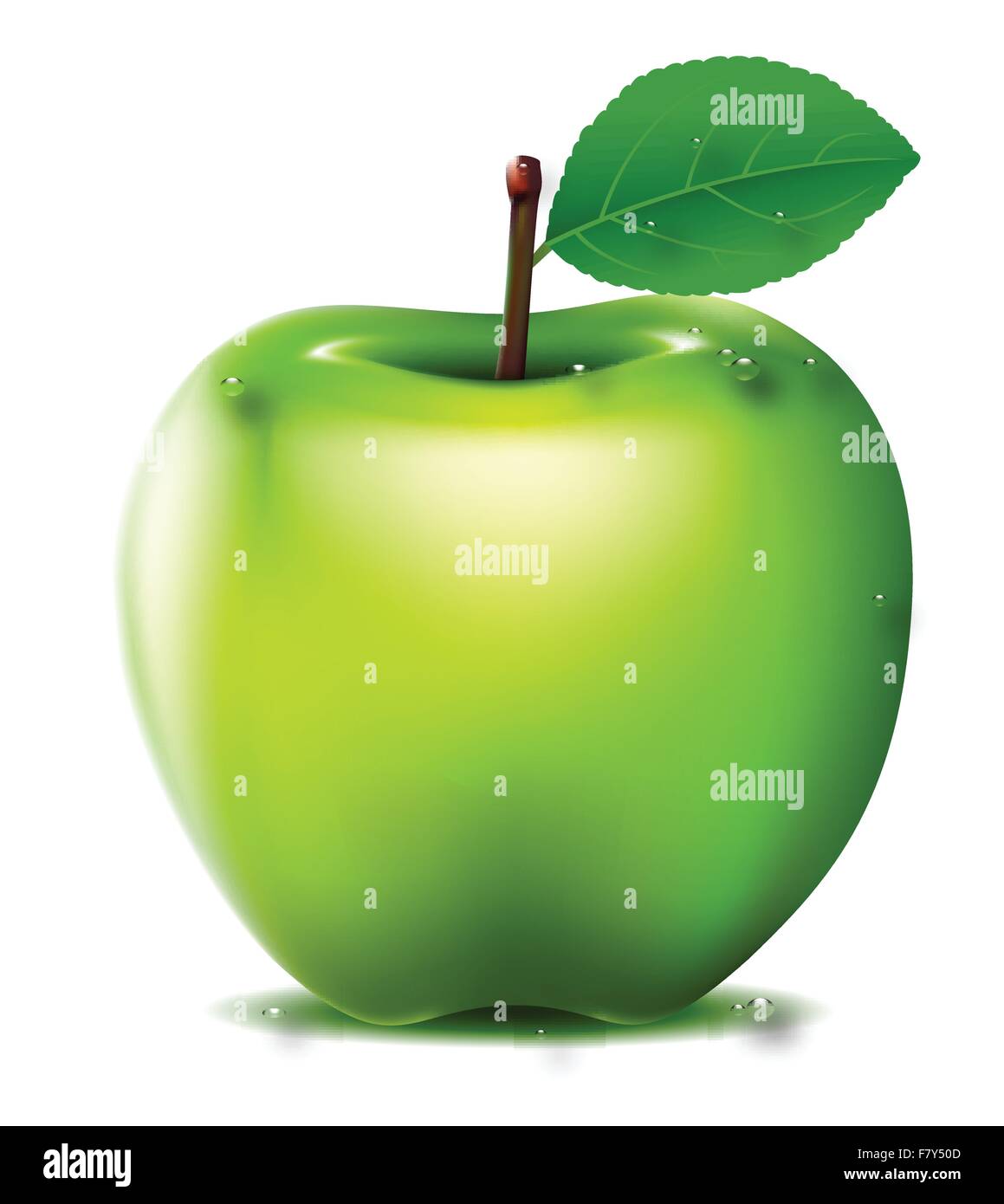 Granny smith apple juice Stock Vector Images - Alamy